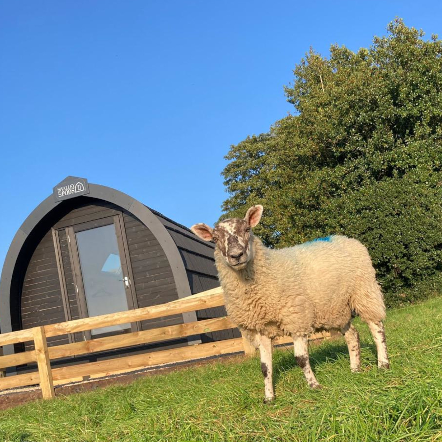 The Festival Pod - Camping Pod for UK Festival Goers